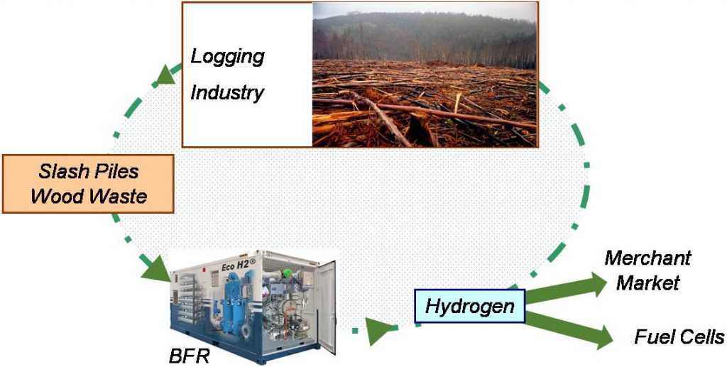 Forestry Waste - Eco Energy International