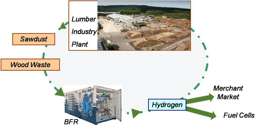 Forestry Waste - Eco Energy International